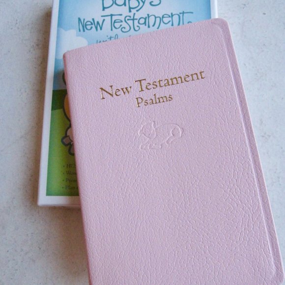 Holman | Office | New Babys New Testament Kjv W Psalms Gift Box Pink ...